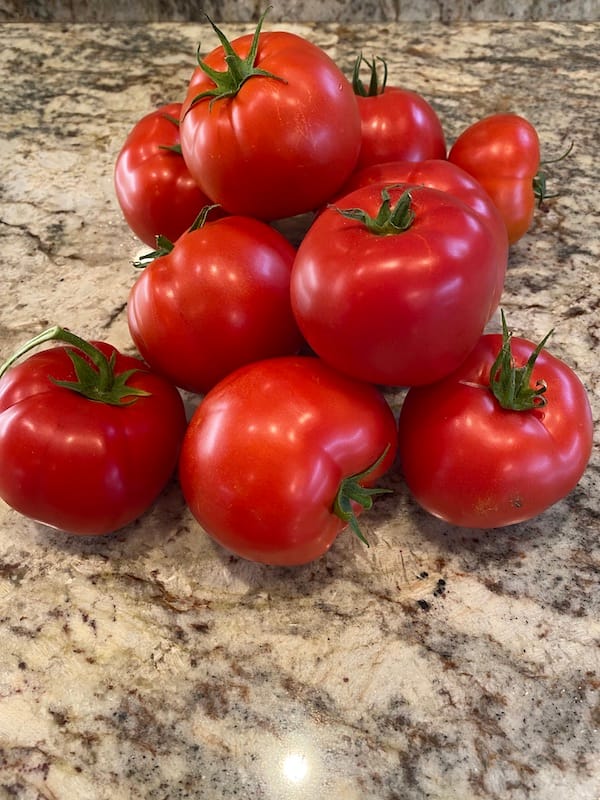 October 2022 Newsletter - Gail Noble-Sanderson